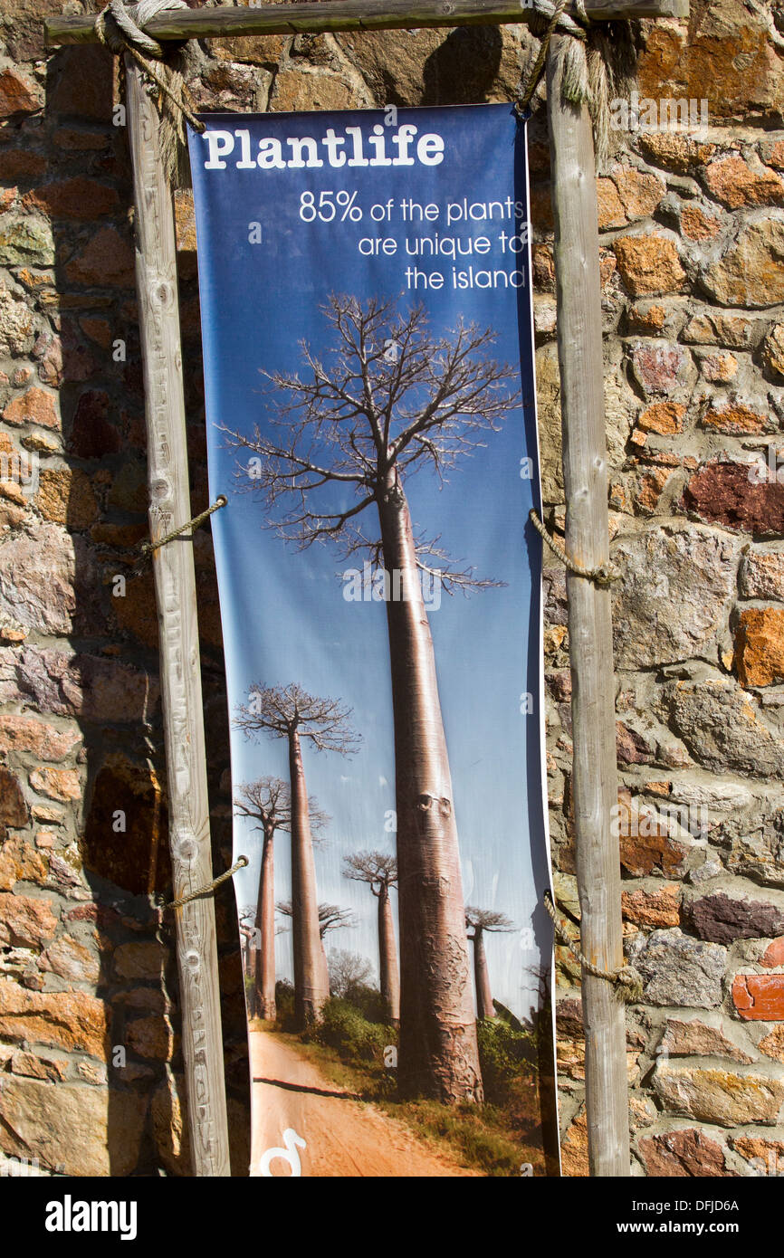 Durrell Wildlife Conservation Trust Stock Photo - Alamy