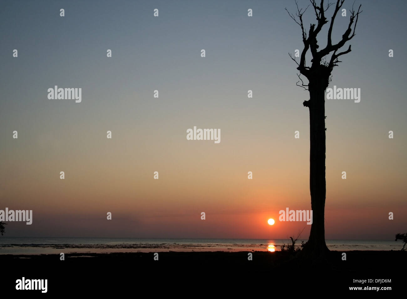 Neil island andaman hi-res stock photography and images - Alamy