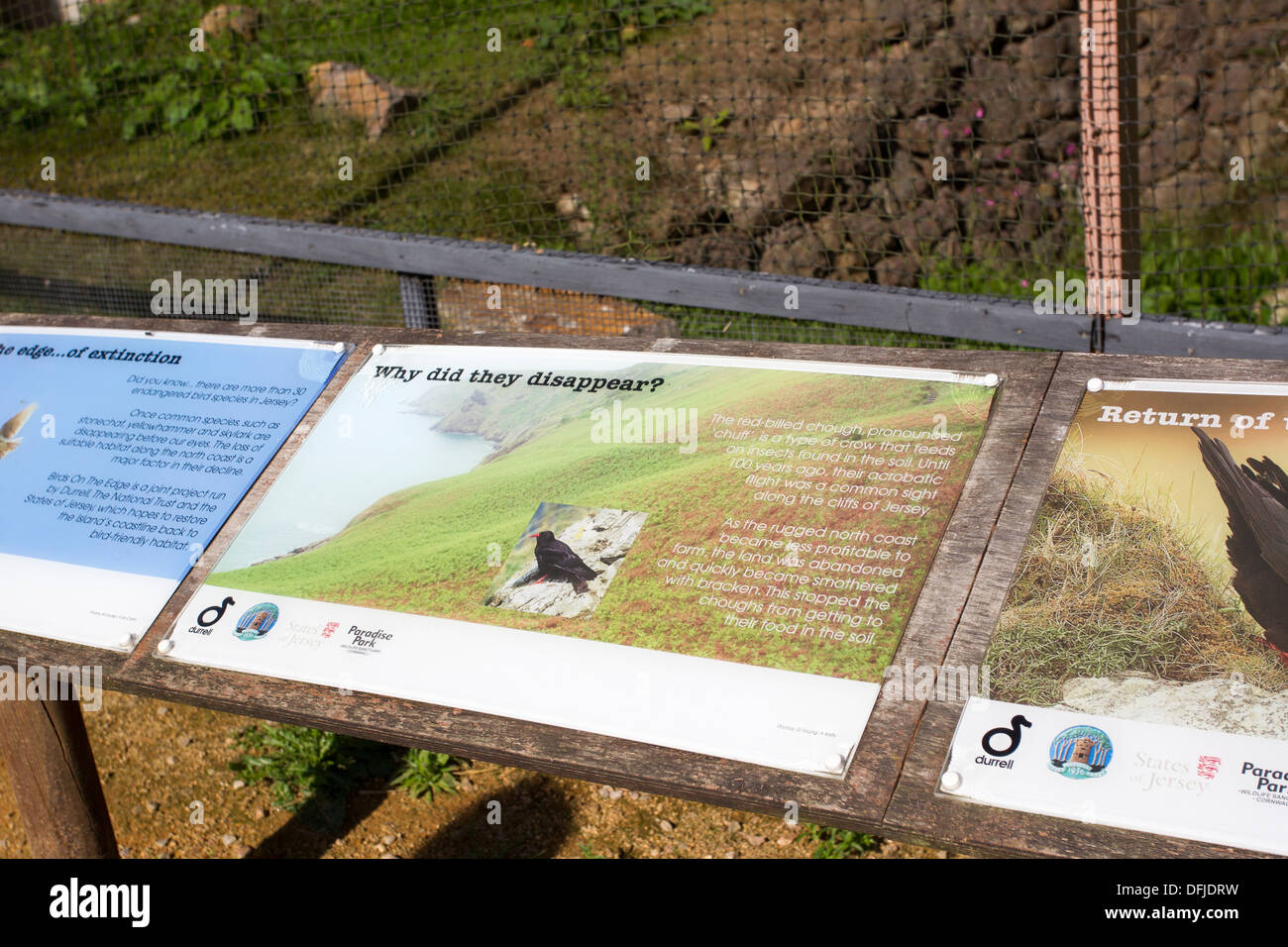 Durrell Wildlife Conservation Trust Stock Photo - Alamy