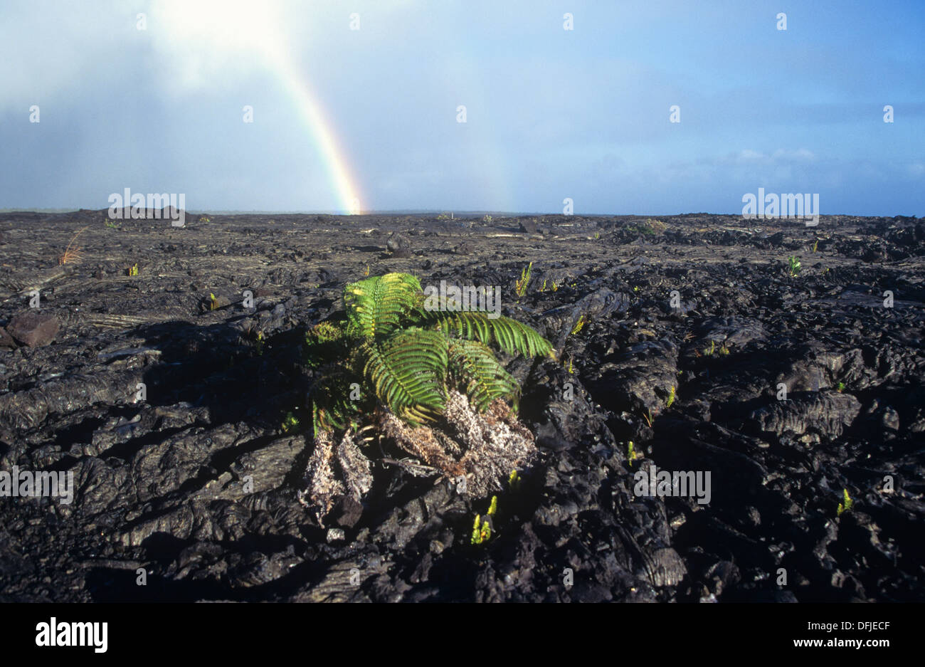 Rainbow at Chain of Craters Road, Hawaii Volcanoes National Park ...