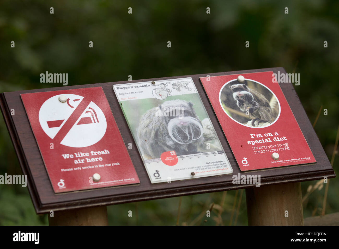 Durrell Wildlife Conservation Trust Stock Photo - Alamy