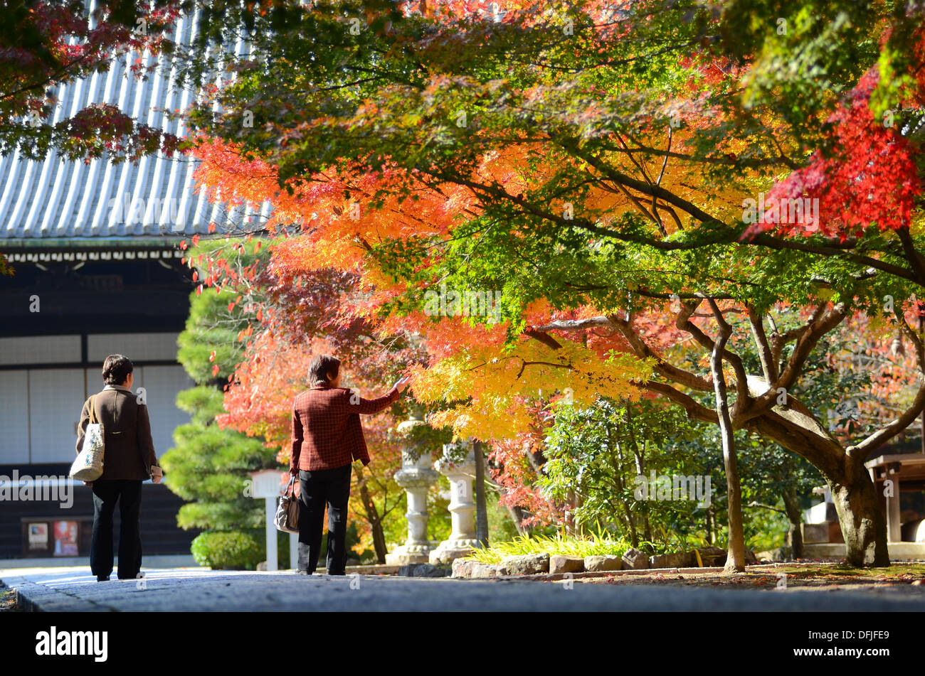 Autumn leaves in Kyoto, Japan Stock Photo - Alamy