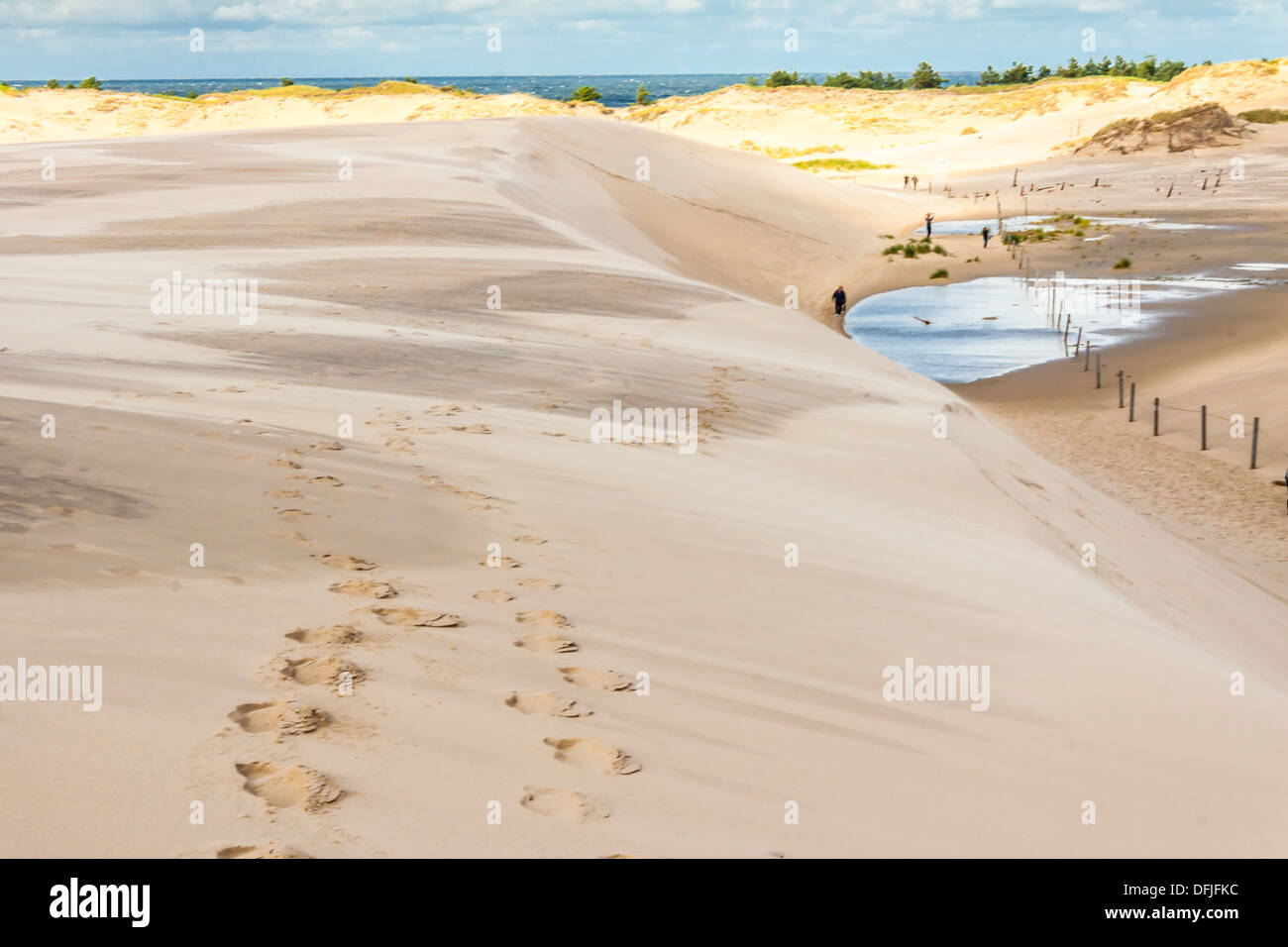 Dunes in National UNESCO Park - Leba, north part of Poland Stock Photo ...