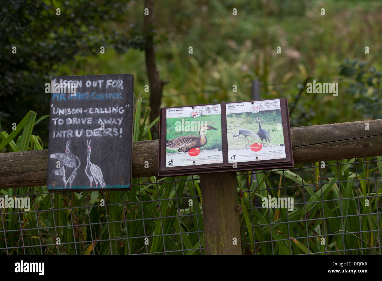 Durrell Wildlife Conservation Trust Stock Photo - Alamy