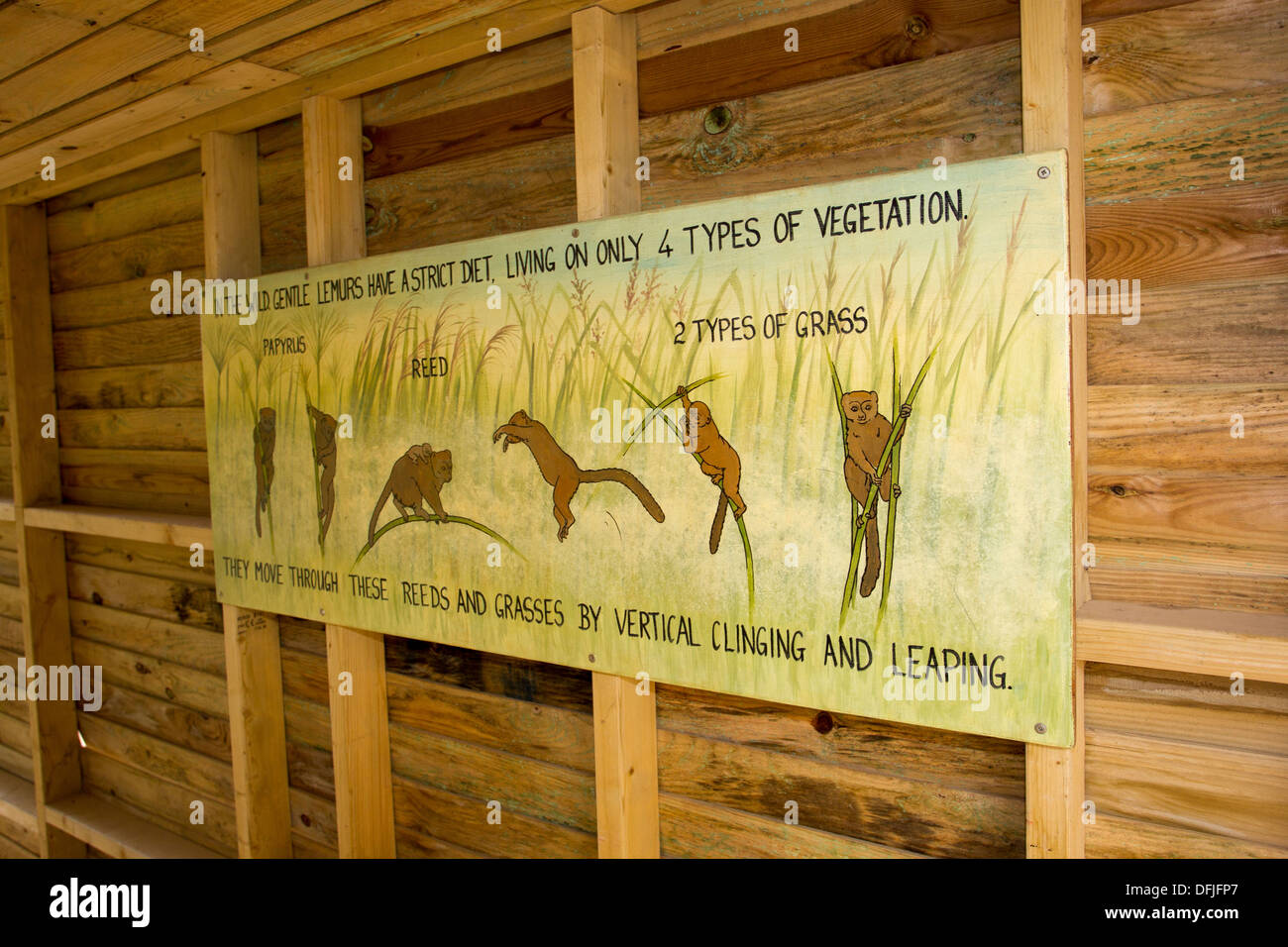 Durrell Wildlife Conservation Trust Stock Photo - Alamy