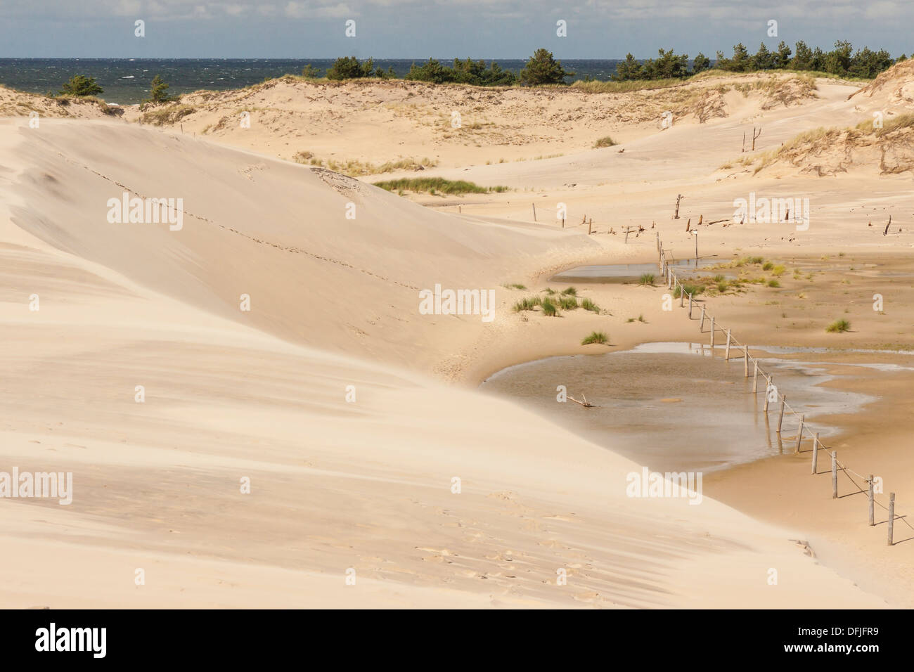 Leba dunes - beauty Polish National Park. In background Baltic sea ...