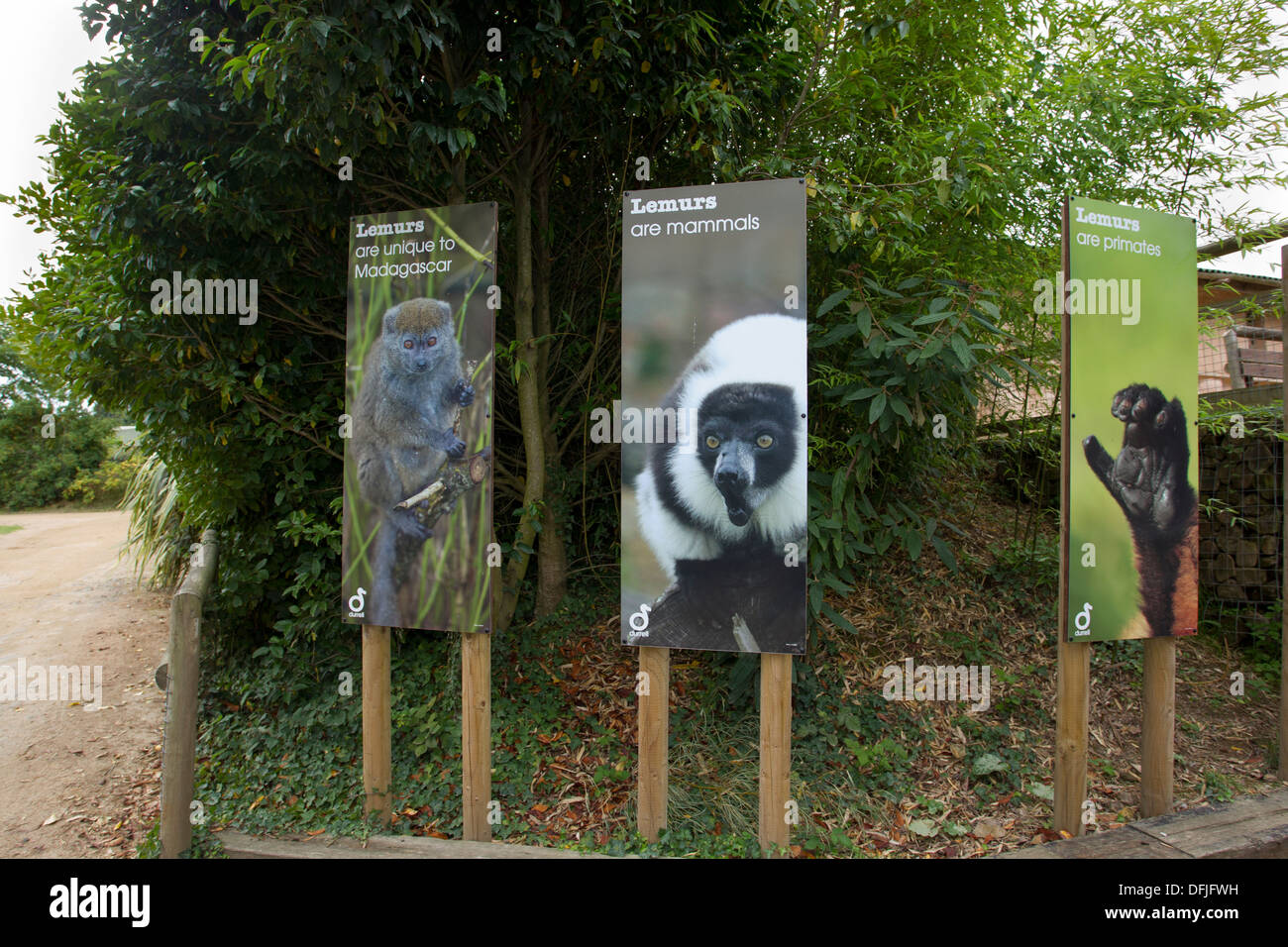 Durrell Wildlife Conservation Trust Stock Photo - Alamy