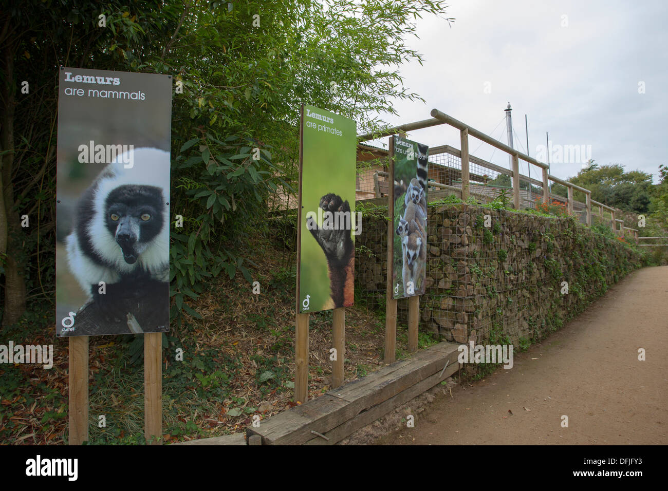 Durrell Wildlife Conservation Trust Stock Photo - Alamy