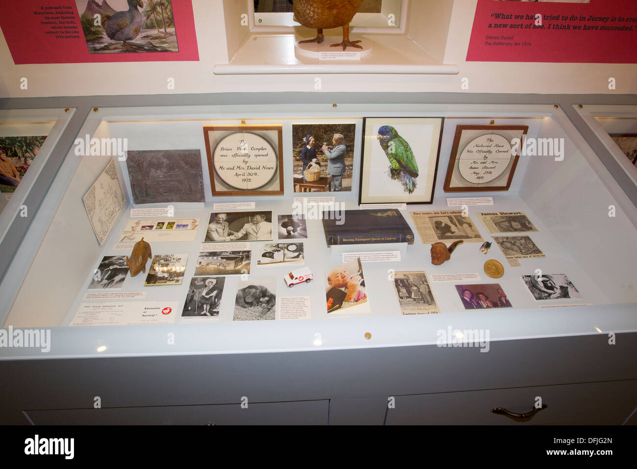Durrell Wildlife Conservation Trust The Gerald Durrell Story Exhibition ...