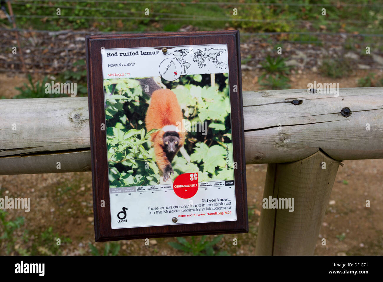 Durrell Wildlife Conservation Trust Stock Photo - Alamy