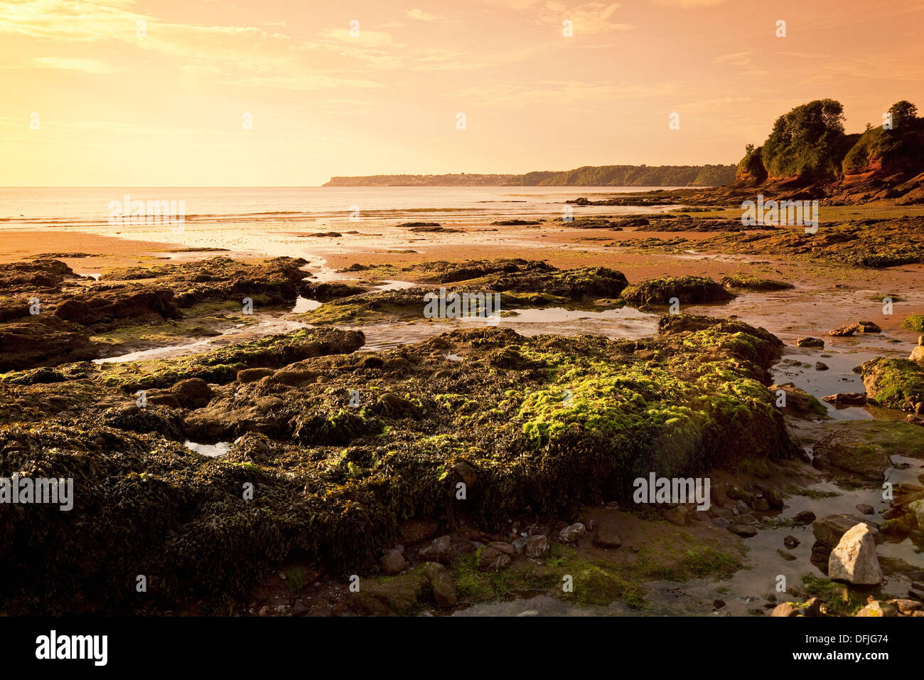 Devonshire beach hi-res stock photography and images - Alamy