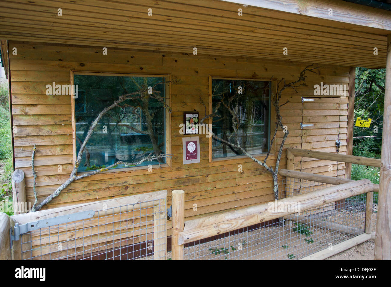 Durrell Wildlife Conservation Trust Stock Photo - Alamy