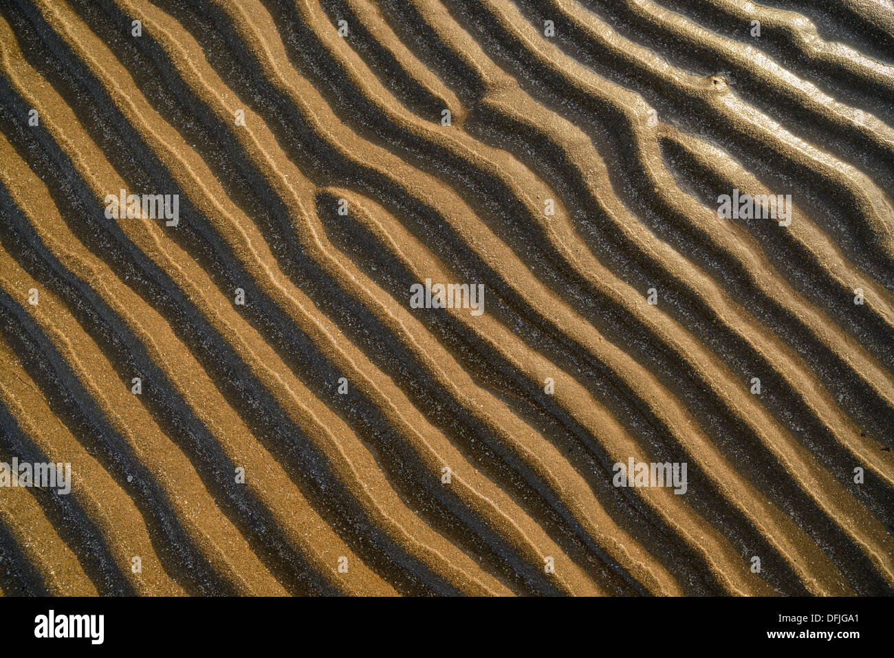 Mossyard beach scotland hi-res stock photography and images - Alamy
