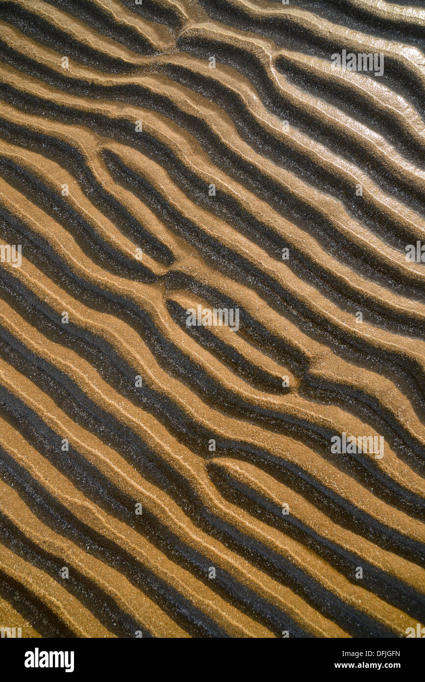 Sand ripple beach hi-res stock photography and images - Alamy