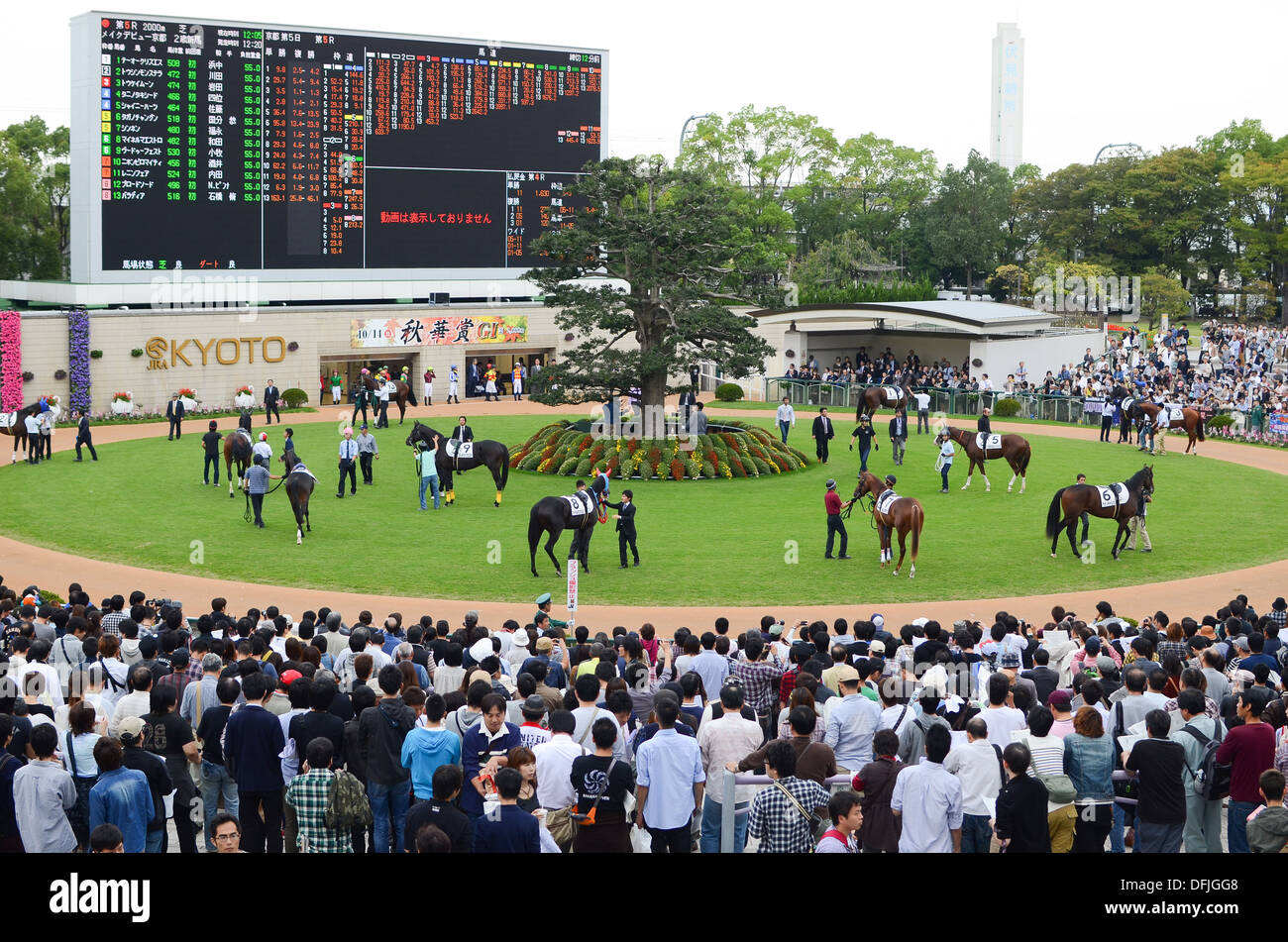 Kyoto horses hi-res stock photography and images - Alamy