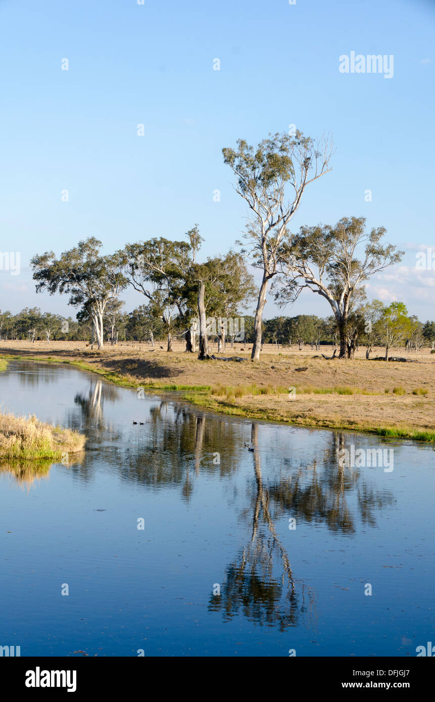 Gum Trees and grassland by river, near Ipswich, Queensland, Outback ...