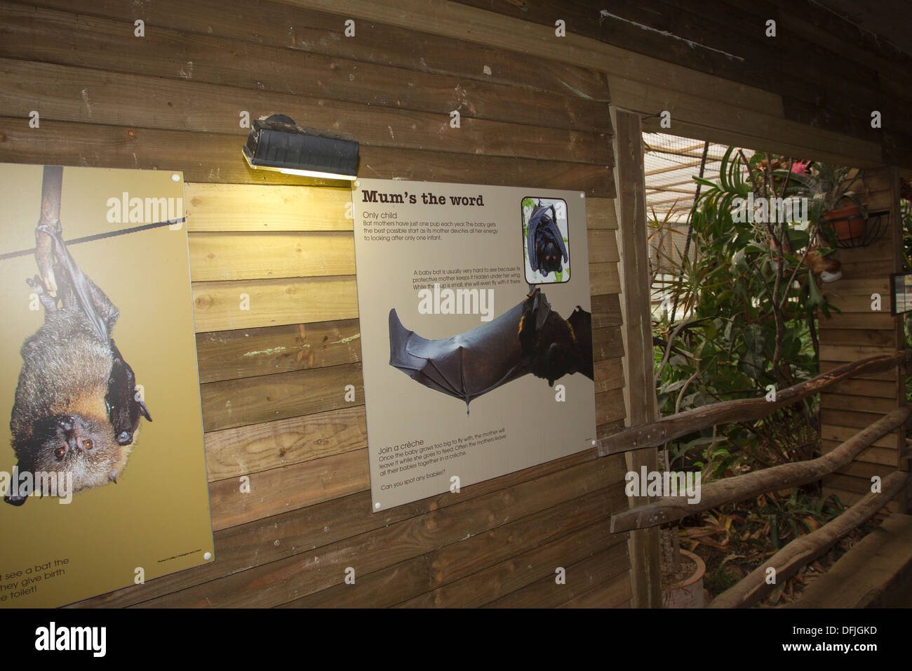 Durrell Wildlife Conservation Trust Stock Photo - Alamy