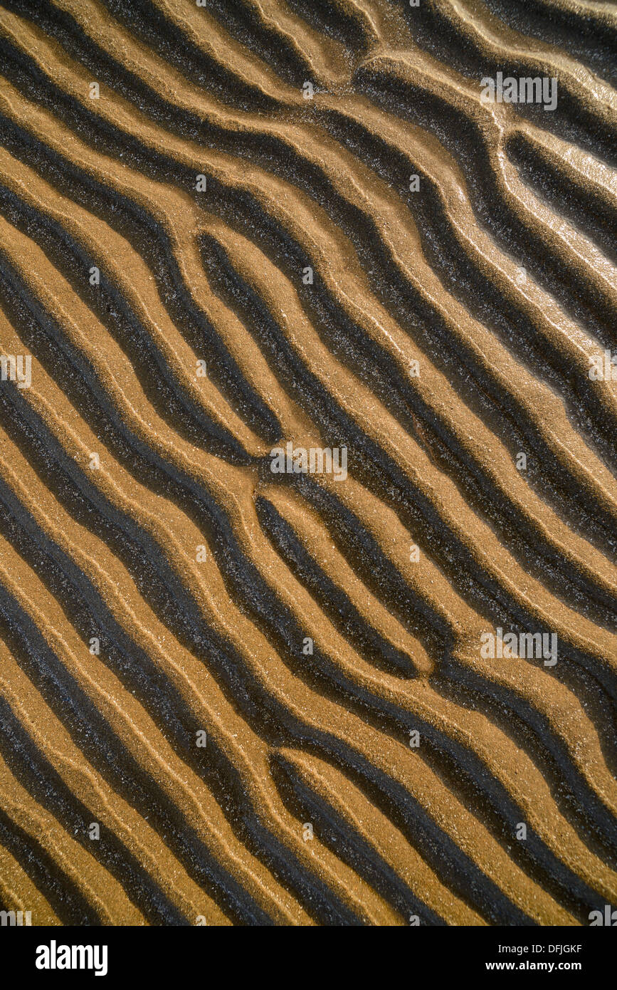 Ripples in the sand, Mossyard beach, Solway coast, Dumfries & Galloway ...