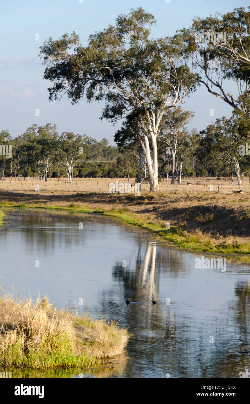 Queensland outback hi-res stock photography and images - Alamy
