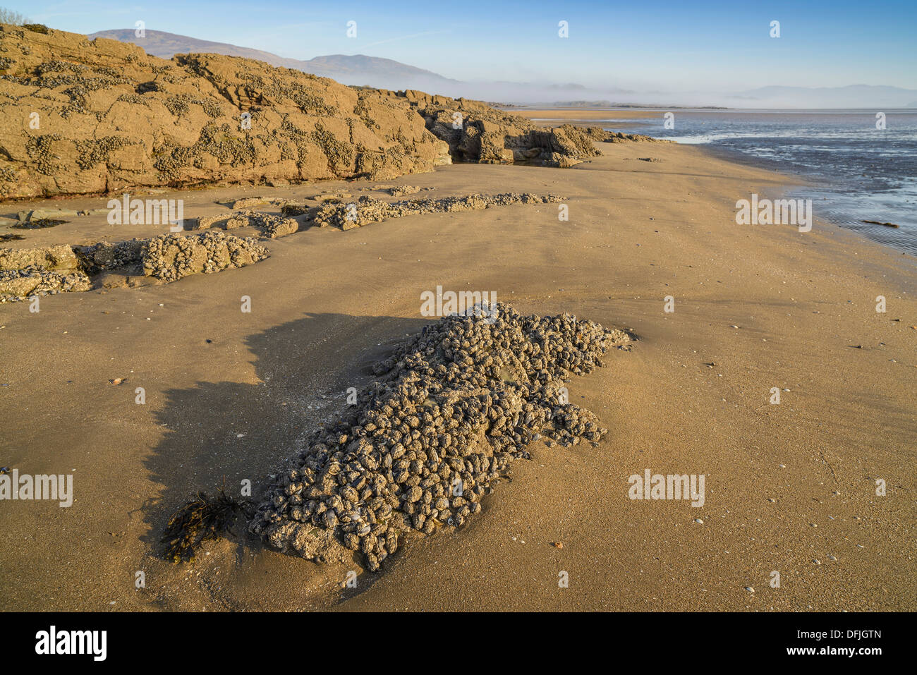 Mossyard beach scotland hi-res stock photography and images - Alamy
