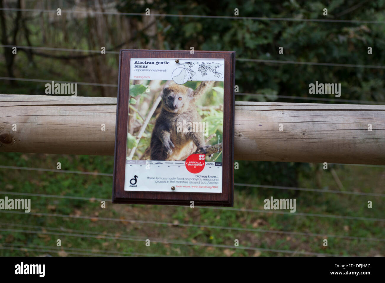 Durrell Wildlife Conservation Trust Stock Photo - Alamy