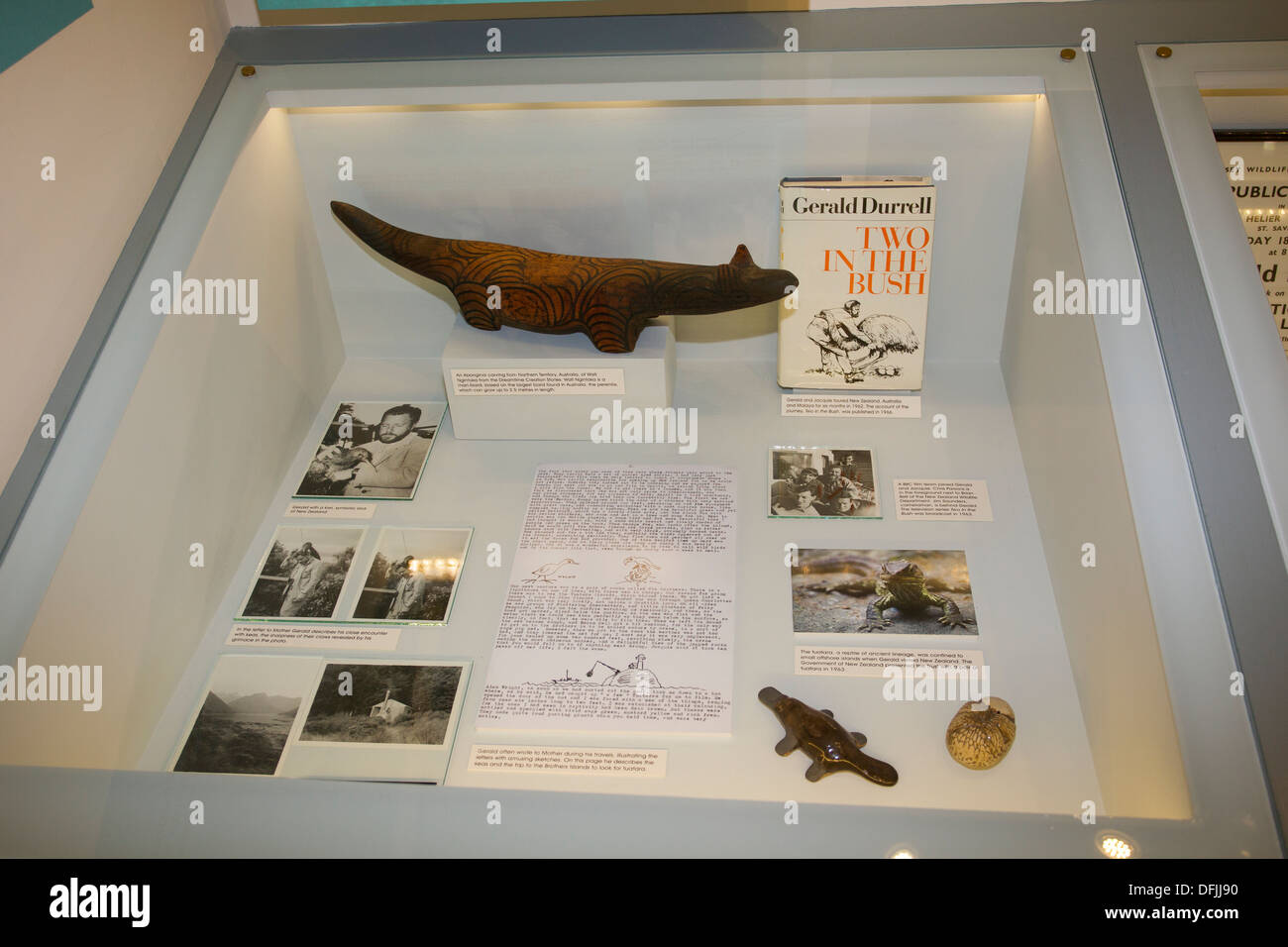 Durrell Wildlife Conservation Trust The Gerald Durrell Story Exhibition ...