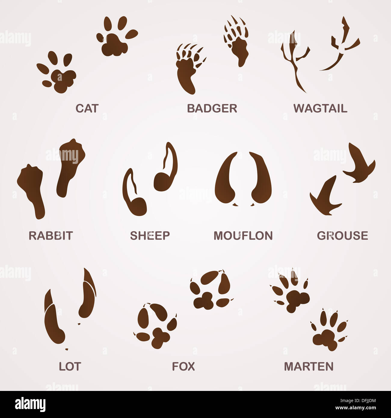 Cat tracks in ground hi-res stock photography and images - Alamy
