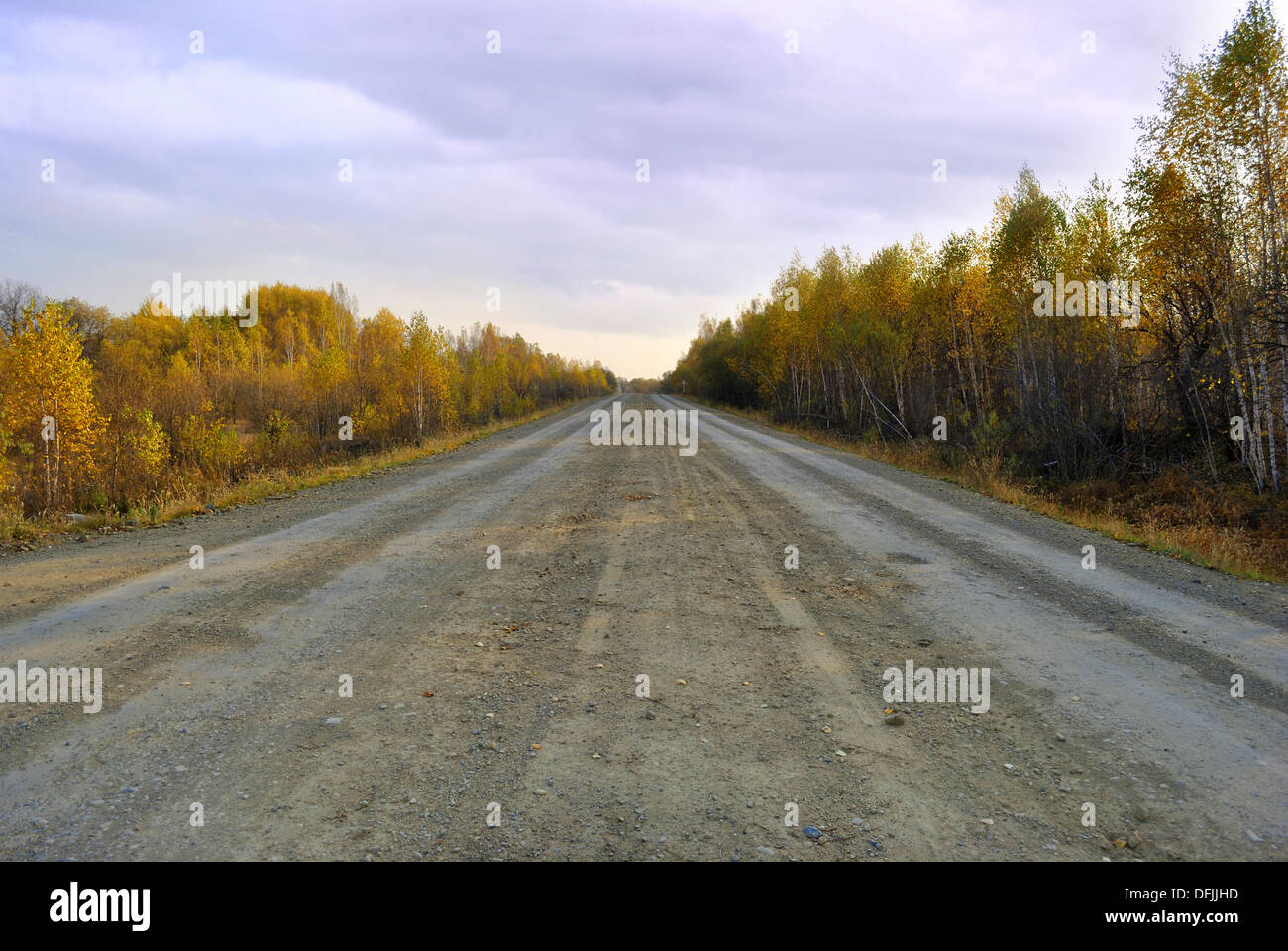 View tree during autumnal hi-res stock photography and images - Alamy