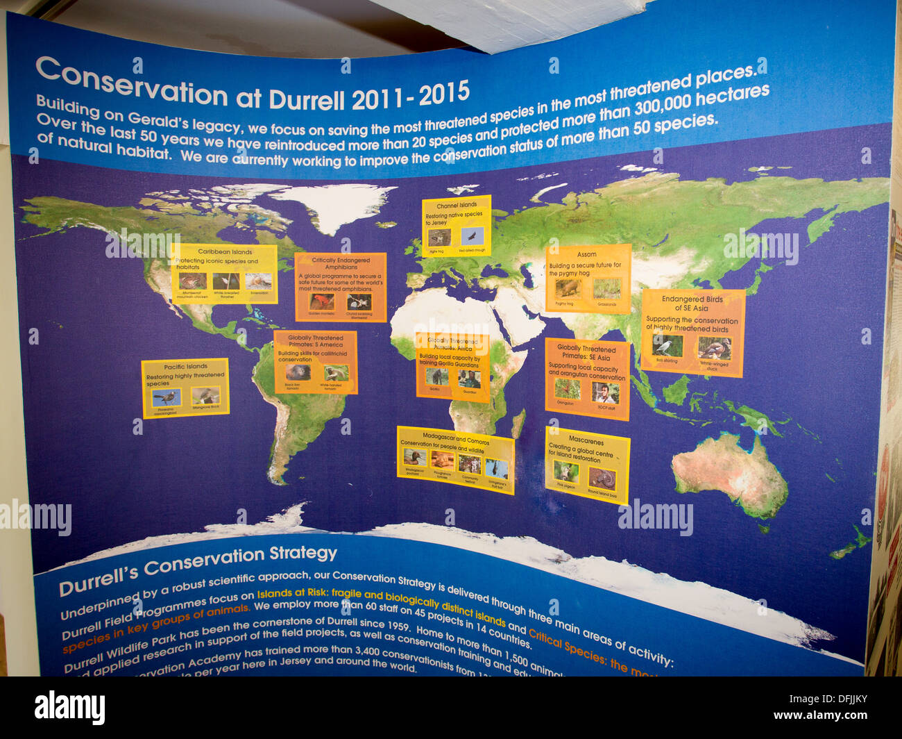 Durrell Wildlife Conservation Trust The Gerald Durrell Story exhibition ...