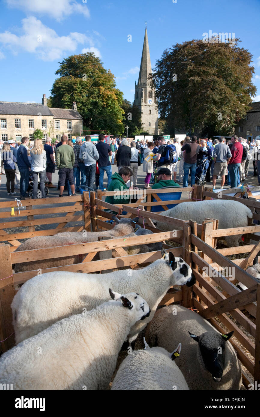Masham Sheep Fair 2013. Masham, North Yorkshire, England, UK Stock ...