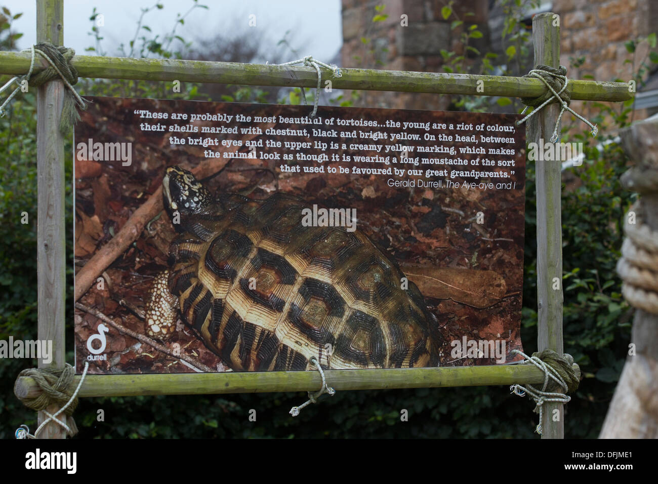 Durrell Wildlife Conservation Trust Stock Photo - Alamy