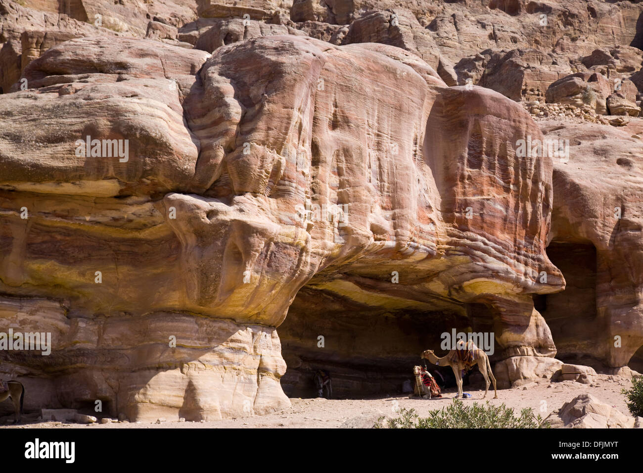The legendary 3rd century Nabataean stone city of Petra, Jordan Stock ...