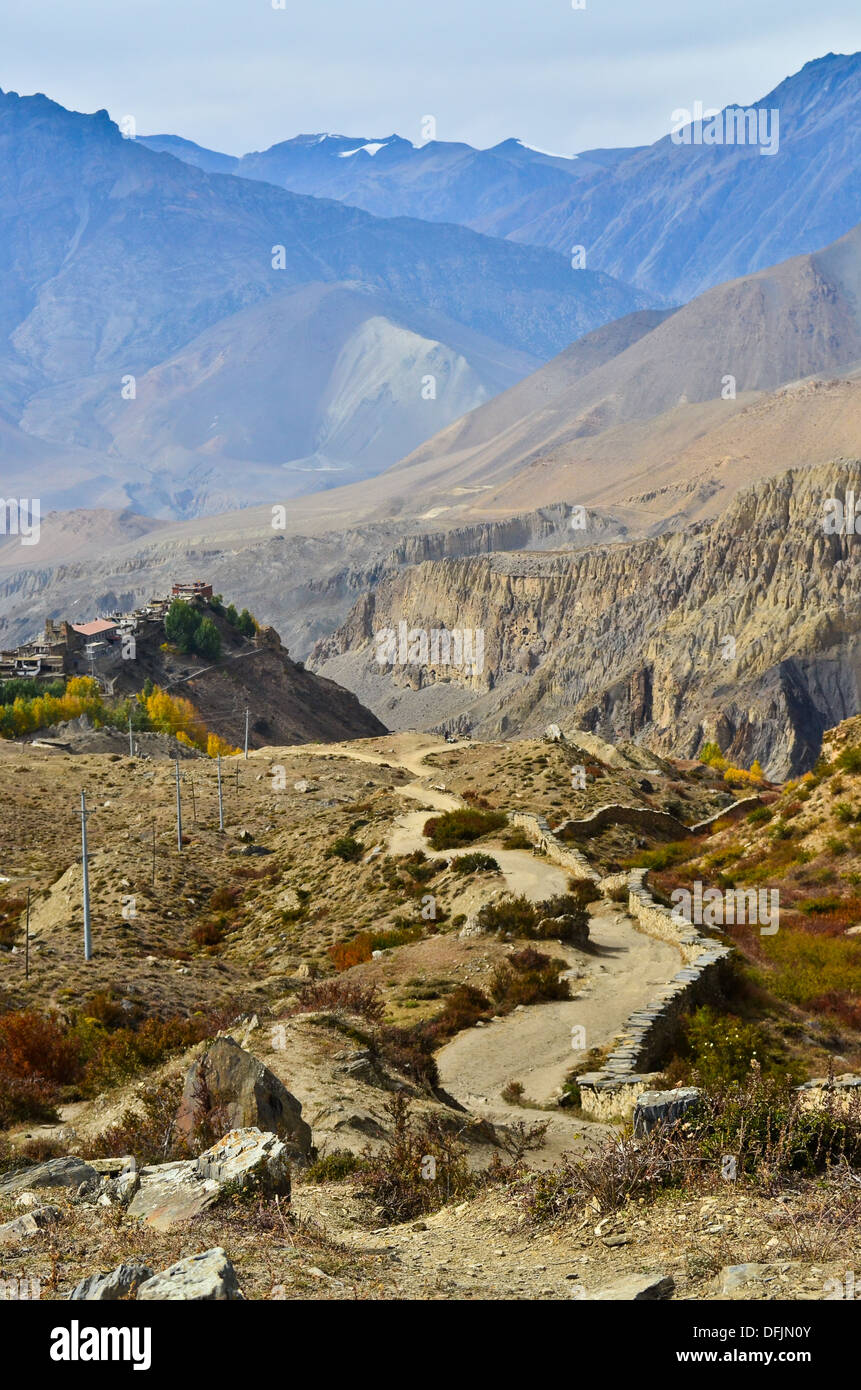 Tree top walk way hi-res stock photography and images - Alamy