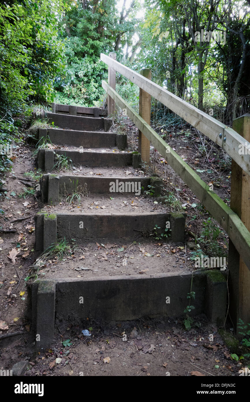 Wooden steps on a nature trail in the countryside Stock Photo: 61262640 ...