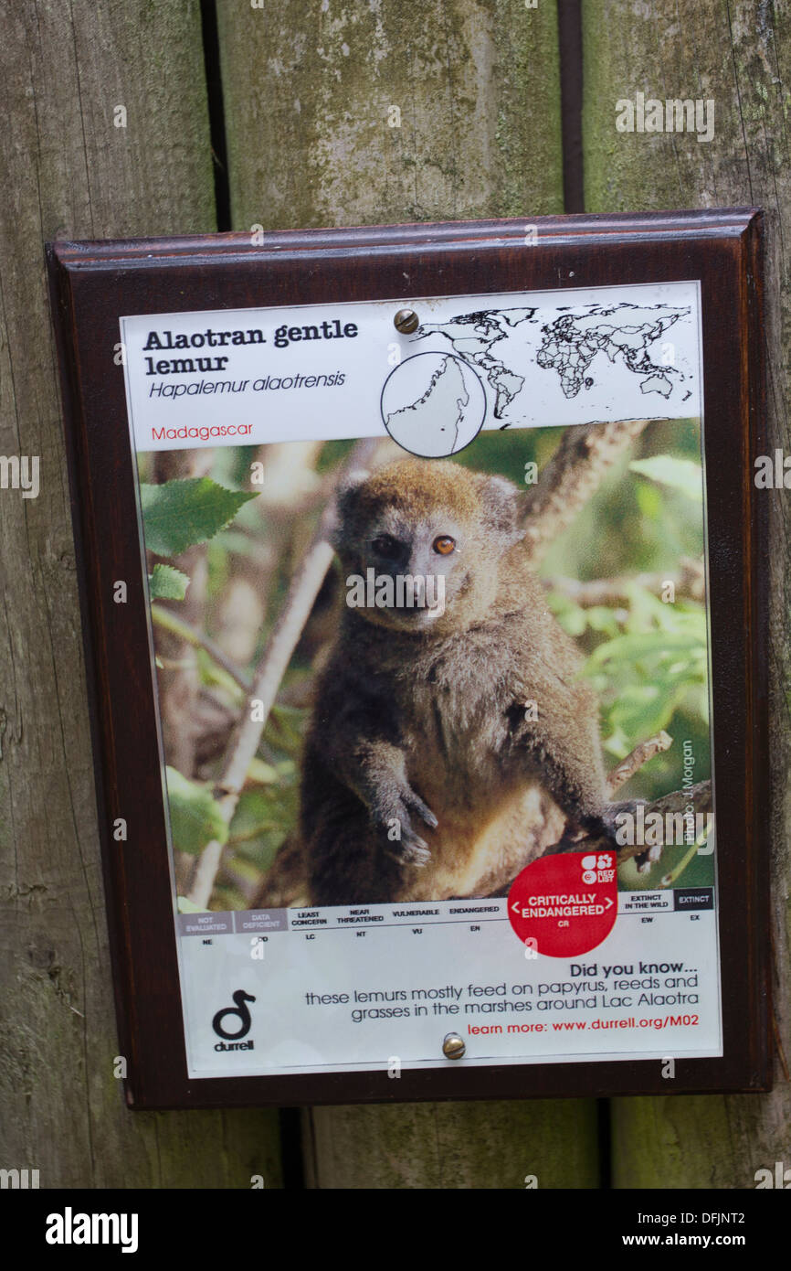Durrell Wildlife Conservation Trust Stock Photo - Alamy