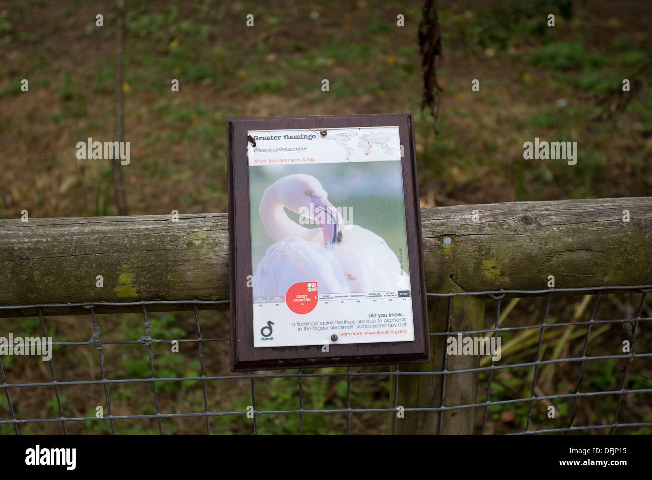 Durrell Wildlife Conservation Trust Stock Photo - Alamy