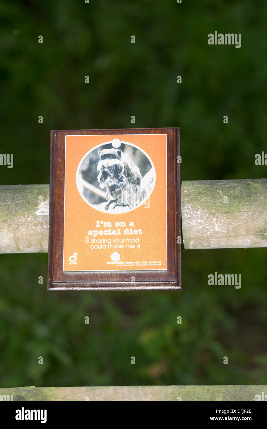 Durrell Wildlife Conservation Trust Stock Photo - Alamy