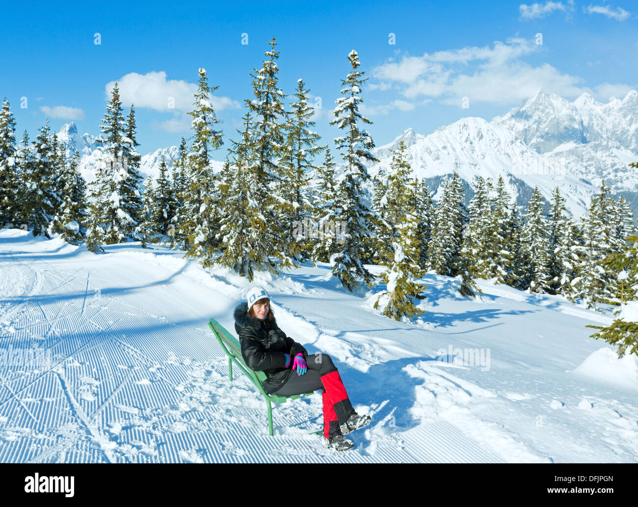 Winter mountain fir forest snowy landscape (top of Papageno bahn ...