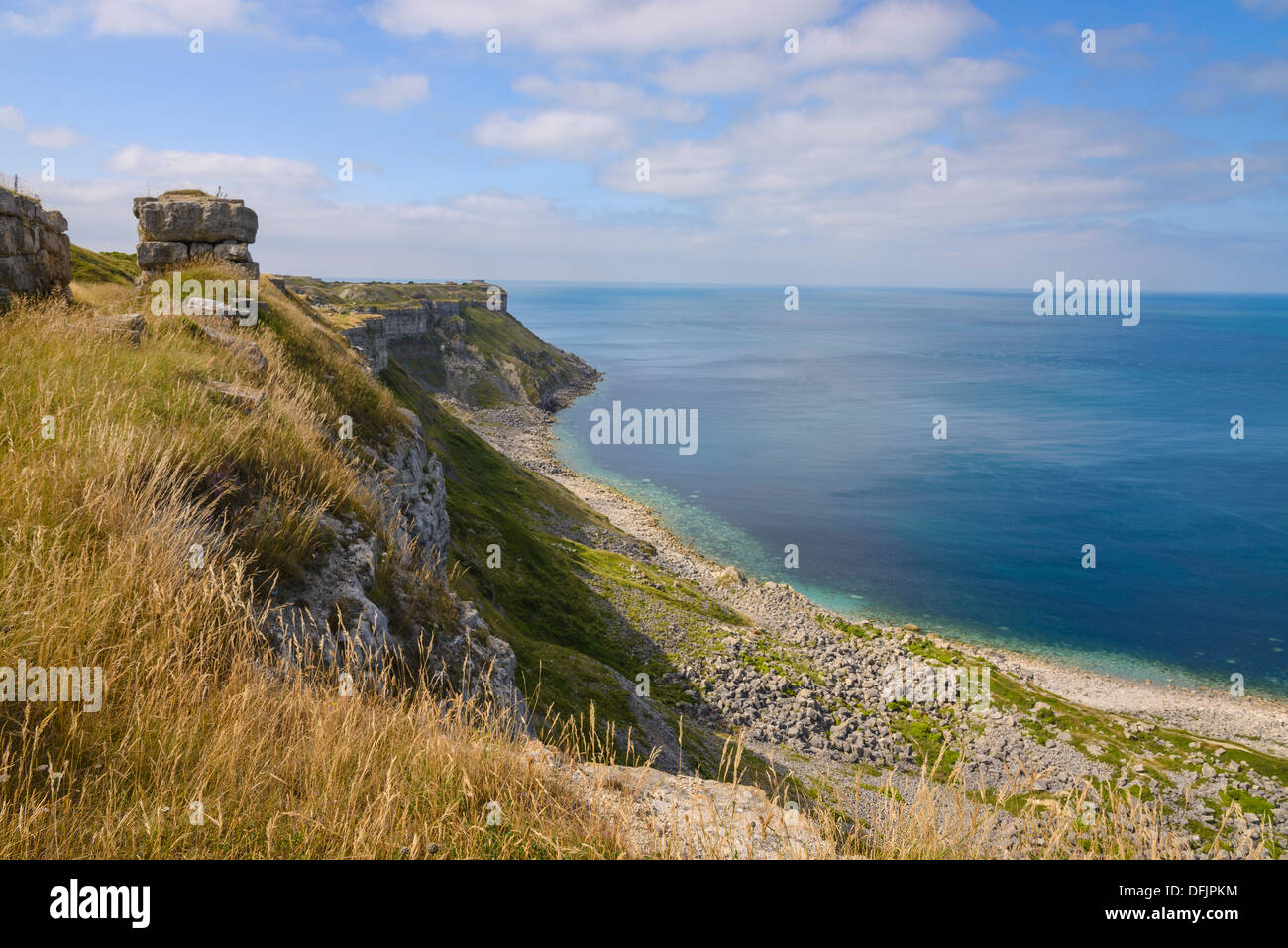 Portland cliffs dorset hi-res stock photography and images - Alamy