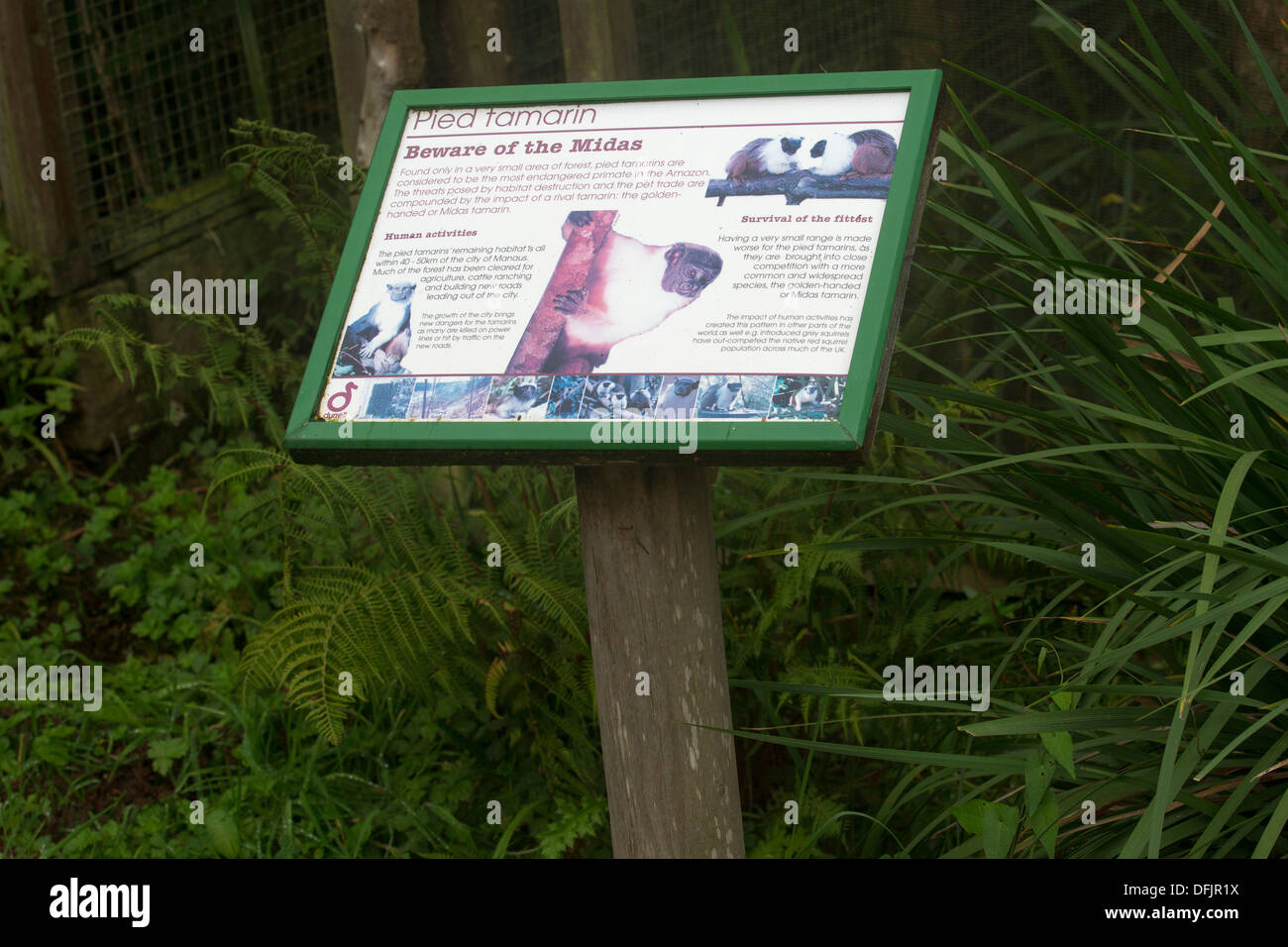 Durrell Wildlife Conservation Trust Stock Photo - Alamy
