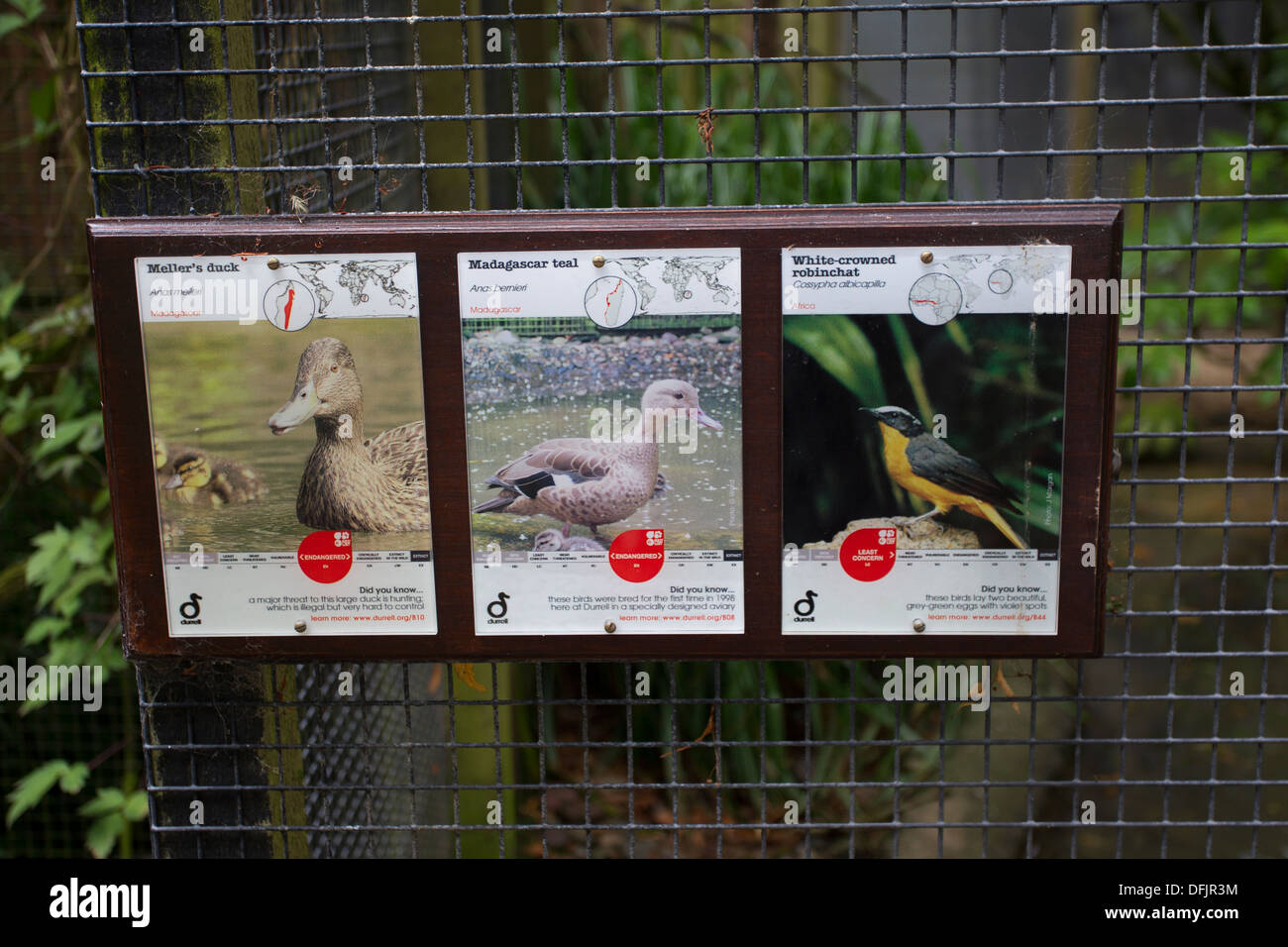 Durrell Wildlife Conservation Trust Stock Photo - Alamy