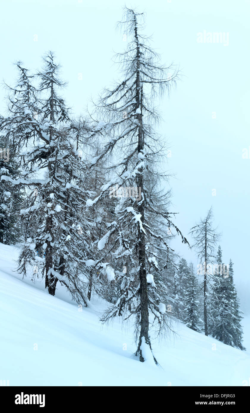 Dull mountain hi-res stock photography and images - Alamy
