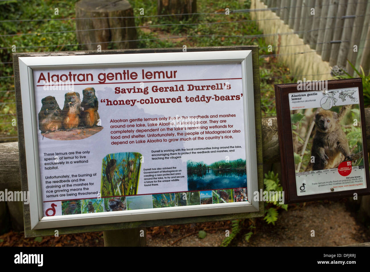 Durrell Wildlife Conservation Trust Stock Photo - Alamy