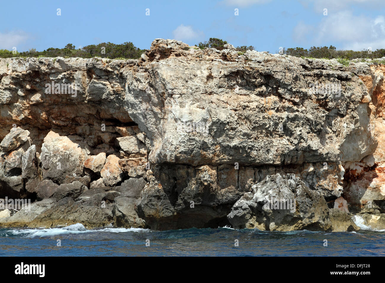 Flora and fauna of menorca hi-res stock photography and images - Alamy