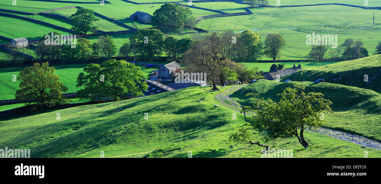 Summer view over Arncliffe in Littondale in the Yorkshire Dales of ...