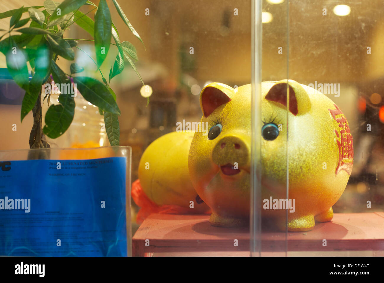Lucky Pig piggy bank in the window of a Chinese restaurant in Chinatown ...