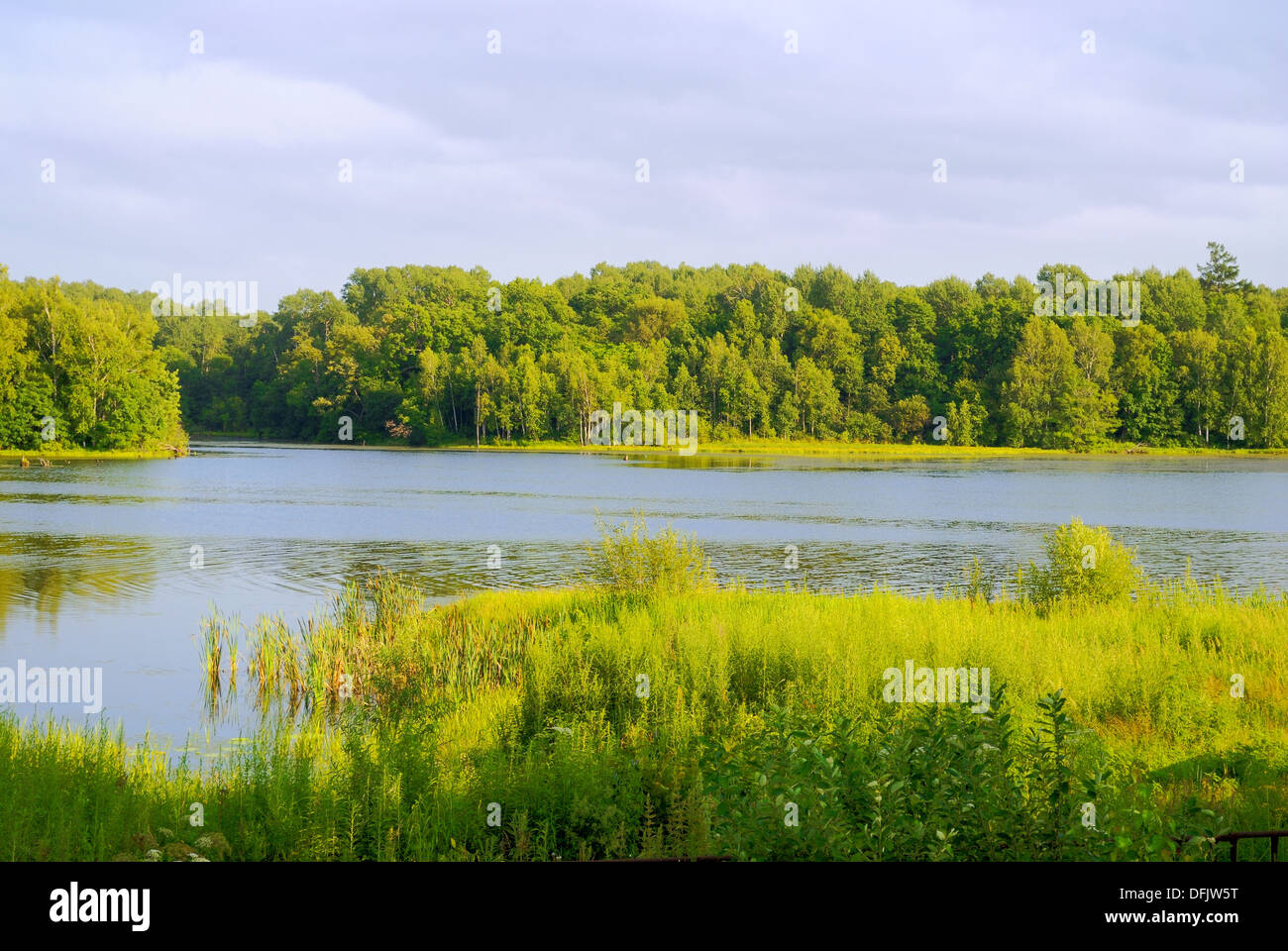 Pure lake in a taiga of the Far East Stock Photo - Alamy