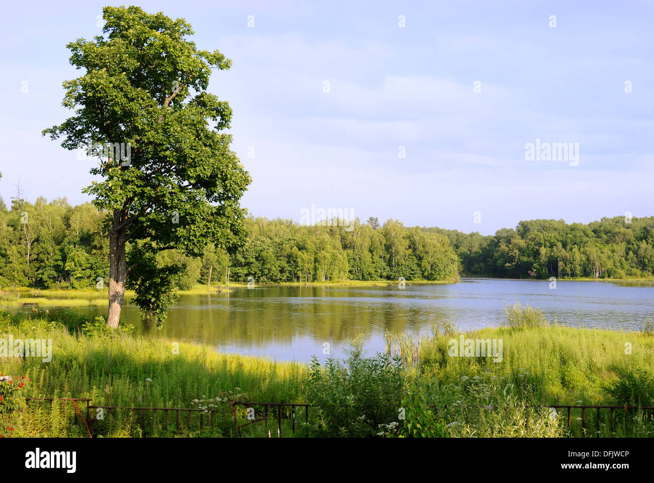 Pure lake in a taiga of the Far East Stock Photo - Alamy