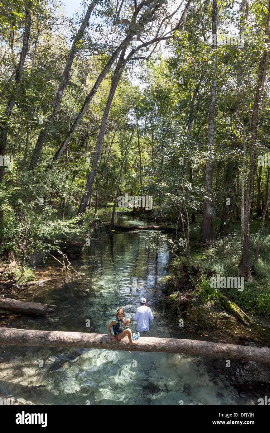 Clear water florida spring hi-res stock photography and images - Alamy