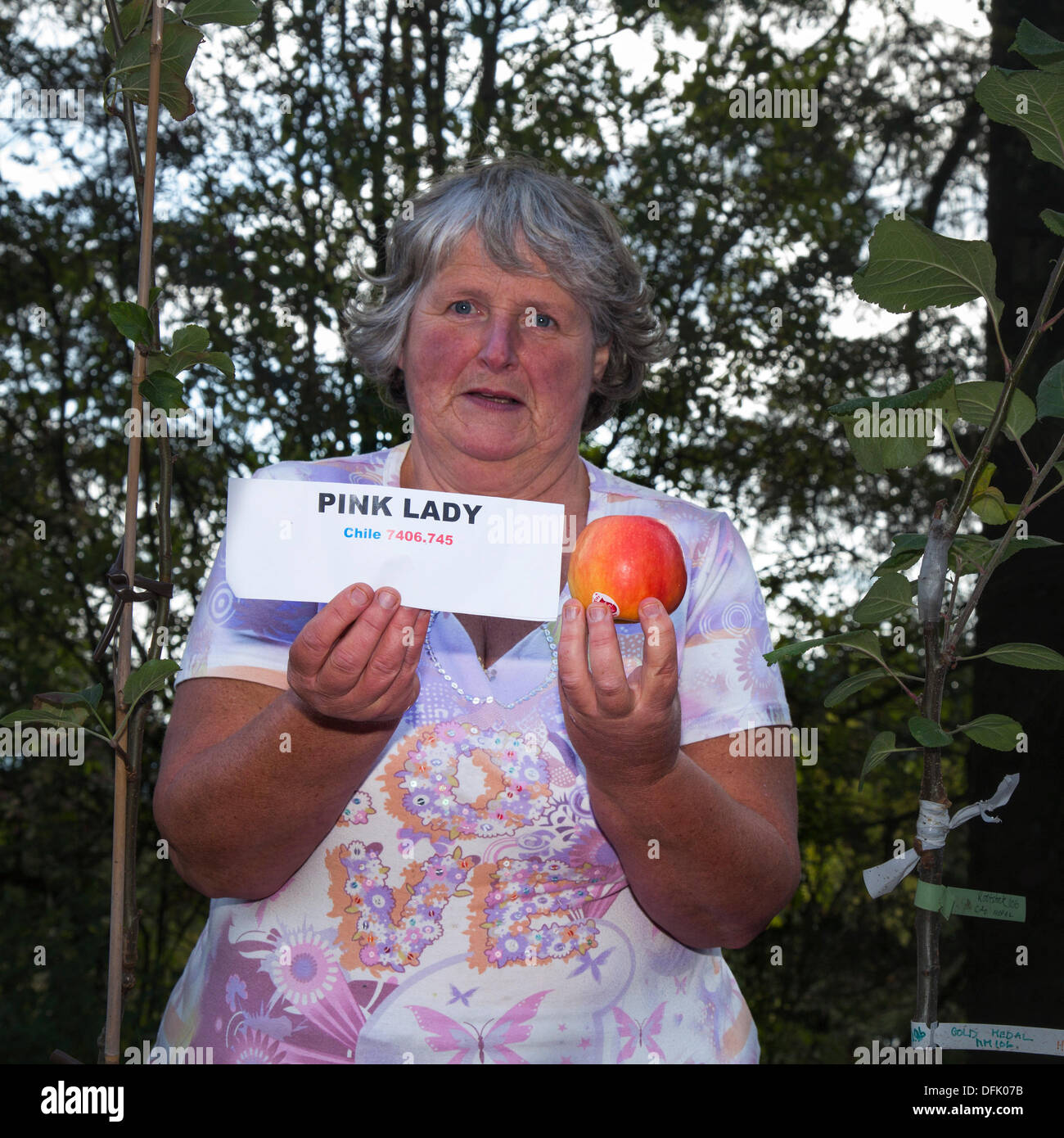 Apple fruit identification hi-res stock photography and images - Alamy